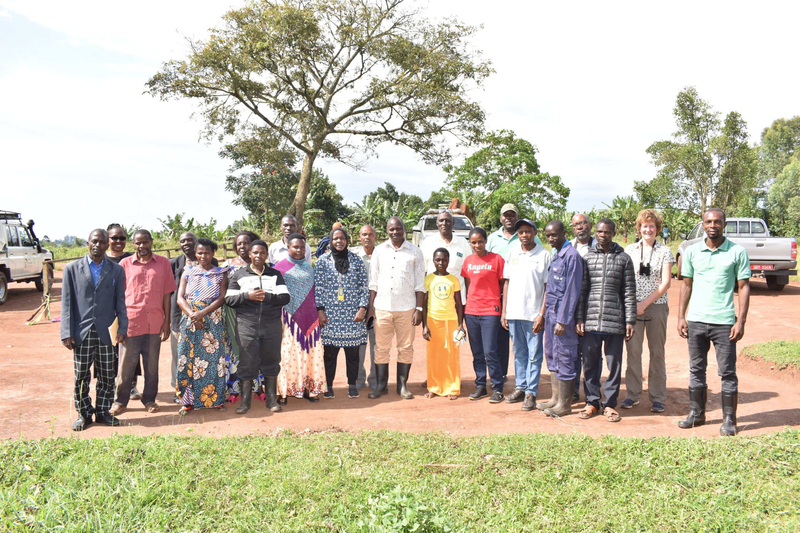 Kabale University and Jane Goodall Institute Partner to Revive Degraded ...
